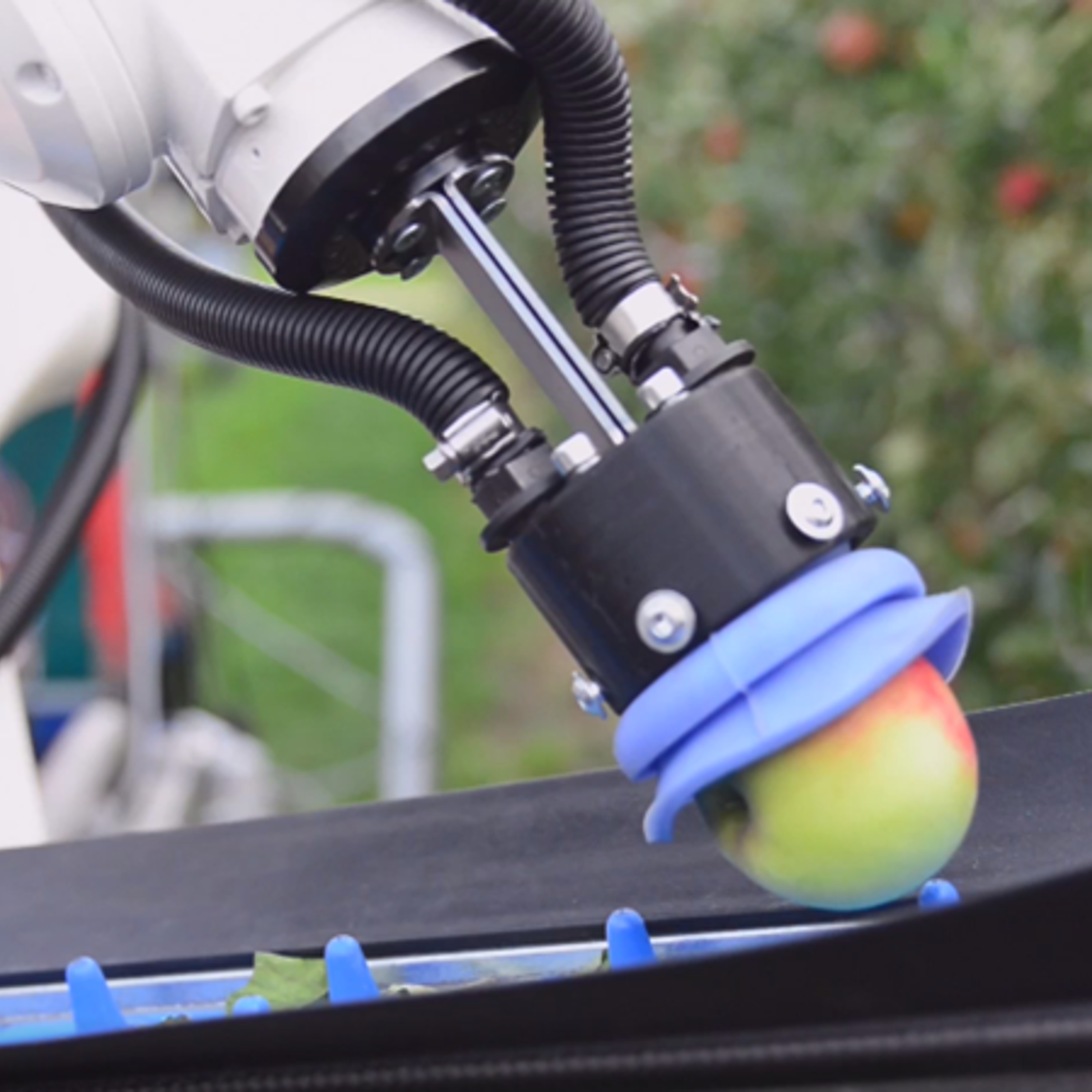 Appel Pluk Robot | RIWO | Specialist in industriële automatisering ...